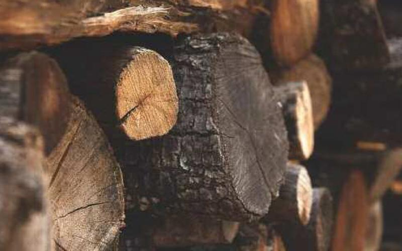New Mexico Department of Agriculture Sets Guidelines for Fair Firewood ...