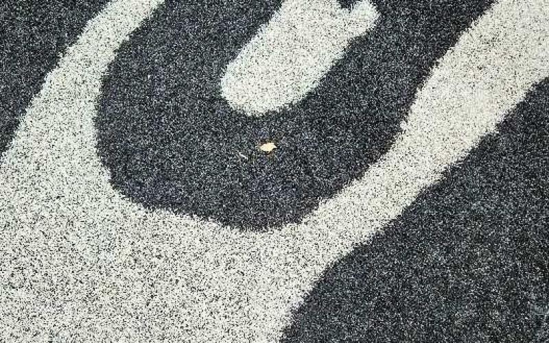 Grants High School Closes Football Field to Public After Firework ...